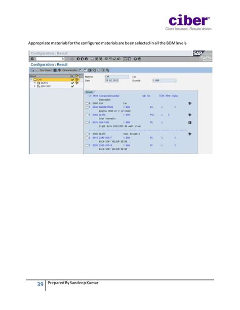 variant configuration in sap pp beginner s guide pdf