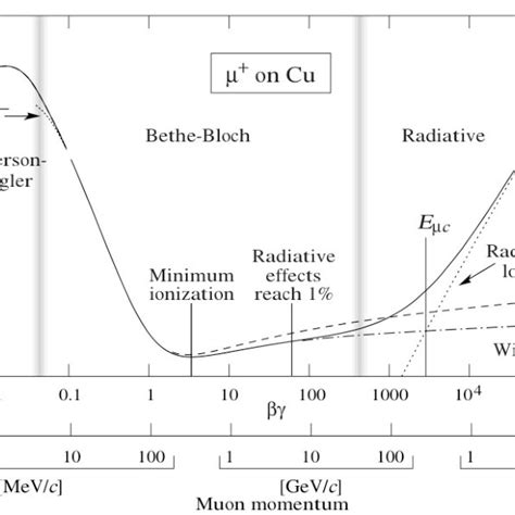 5 Schematic Diagram Of A Scintillation Counter Download Scientific