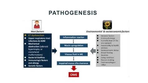 Serous Otitis Media And Grommets Pptx