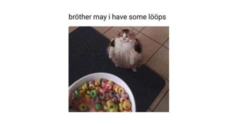 Brother May I Have Some Loops Meme Mug Teepublic