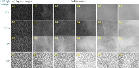 Example Of Particle Images A Fog Free Images Reference Images B Download Scientific