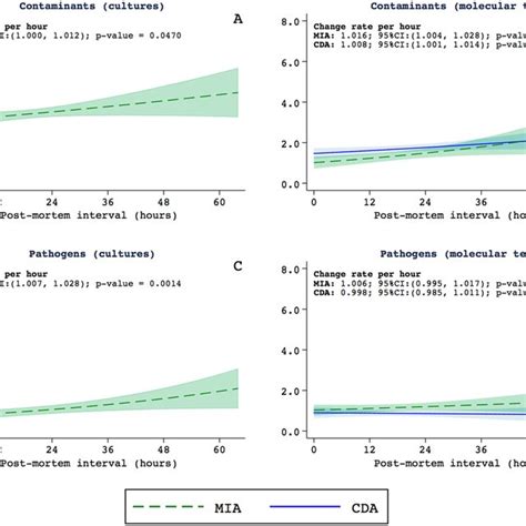 Relationship Between The Postmortem Interval And The Estimated