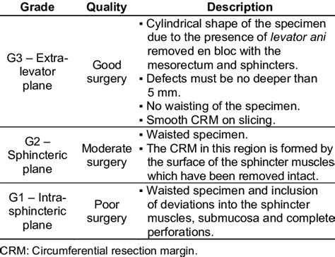 Specimen Grading In Mesorectum Assessment After Abdominoperineal