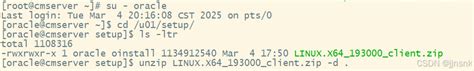 在linux下配置oracle 19c连接管理器 oracle 19c connection manager oracle19c怎么连接