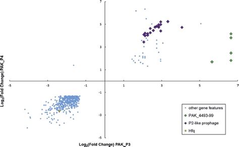 Comparative Transcriptomics Analyses Reveal The Conservation Of An Ancestral Infectious Strategy
