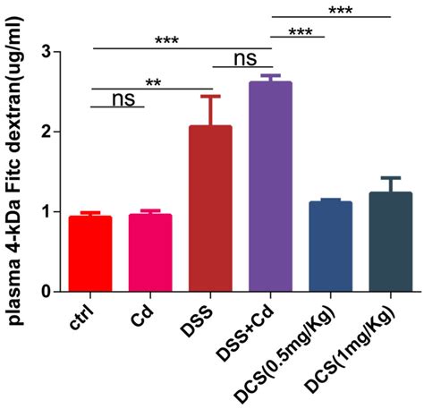 Nano Selenium Alleviates Cd Induced Chronic Colitis Through Intestinal