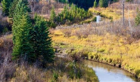 Fossils In A Northern Alberta Riverbed May Reveal New Facts About