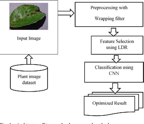 figure 1 from optimal feature selection and classification using
