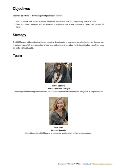 Program Change Management Plan Template Google Docs Word Apple Pages PDF Template Net