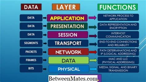 OSI와 TCP IP 모델의 차이점 다른 사람 2025