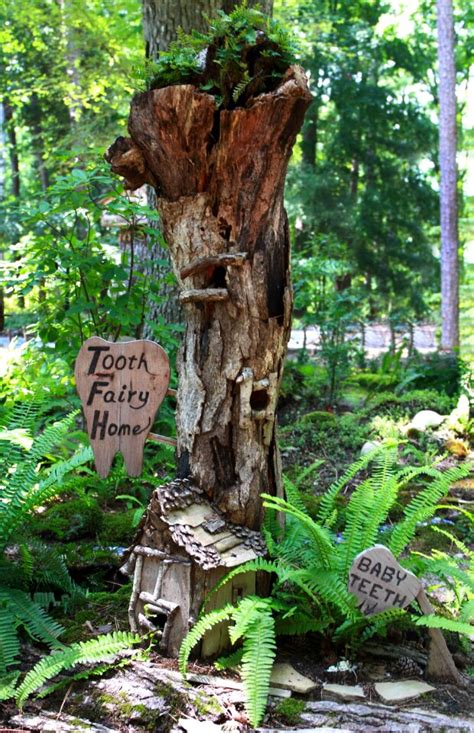 Garvan Botanical Gardens Attraction Us Free Photos On