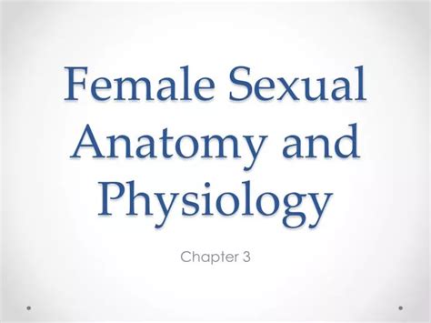 PPT Female Sexual Anatomy And Physiology PowerPoint Presentation Free Download ID
