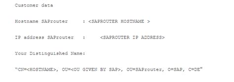Sap Router Installation On Windows Buddysap