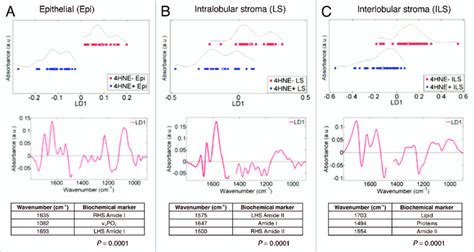 Principal Component Analysis Linear Discriminant Analysis Pca Lda Of