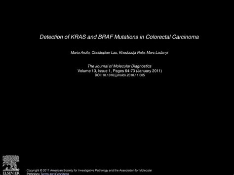 Detection Of Kras And Braf Mutations In Colorectal Carcinoma Ppt Download