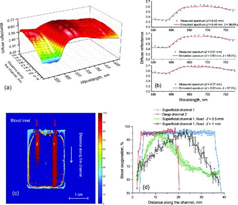 Spectral Dependence Of The Diffuse Reflectance Measured Along The Download Scientific Diagram