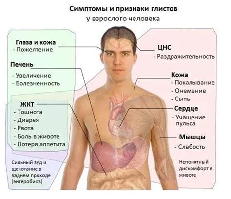 Таблетки от глистов у взрослых: как часто можно пить, какие выбрать ...