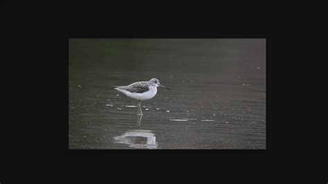 368 ct film - YouTube