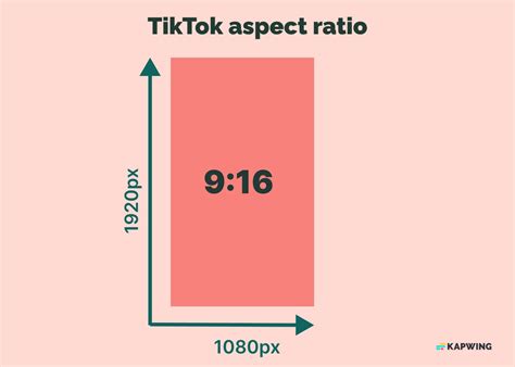 Social Media Image And Video Aspect Ratios — The 2024 Guide