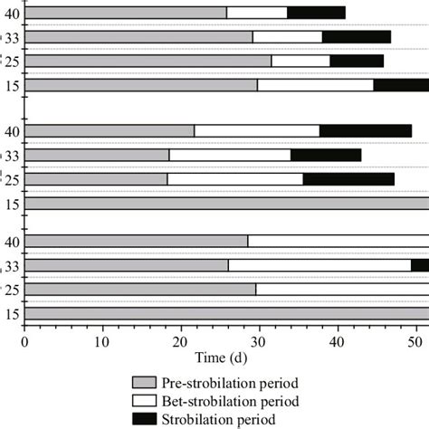 Pdf Effects Of Temperature And Salinity On The Asexual Reproduction