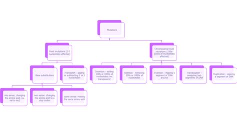 Micro C 4 Learning Objectives Flashcards Quizlet