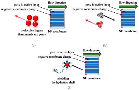 Membranes Free Full Text The Application Of The Nanofiltration Membrane Nf270 For Separation