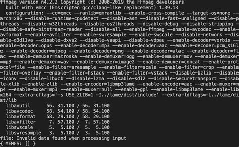 File Invalid Data Found When Processing Input · Issue 123 · Kagamiffmpegjs · Github