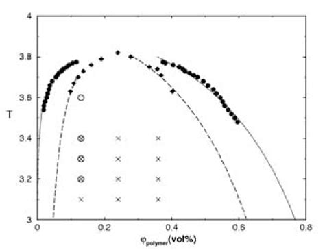 Phase Diagram Of The Bond Fluctuation Model For A Chain Length Of