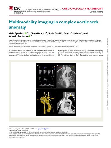 Pdf Multimodality Imaging In Complex Aortic Arch Anomaly