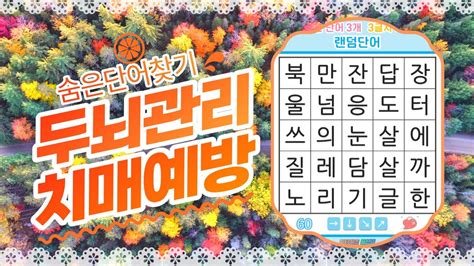 100세시대의 최고의 두뇌 운동 숨은단어찾기 치매예방 퀴즈 초성퀴즈 단어퀴즈 두뇌운동 뇌건강 치매테스트 기억력 집중력 강화 재밌는 퀴즈 Youtube