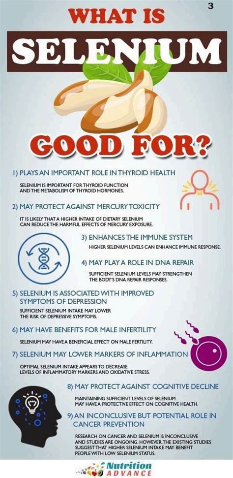 selenium updated pdf free download