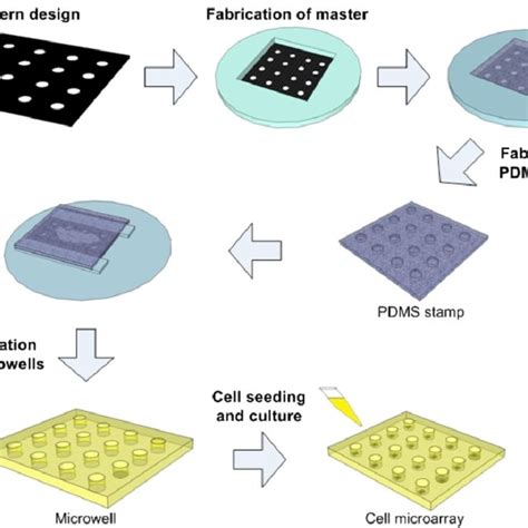 fabrication of a cell microarray using surface patterning [61] a