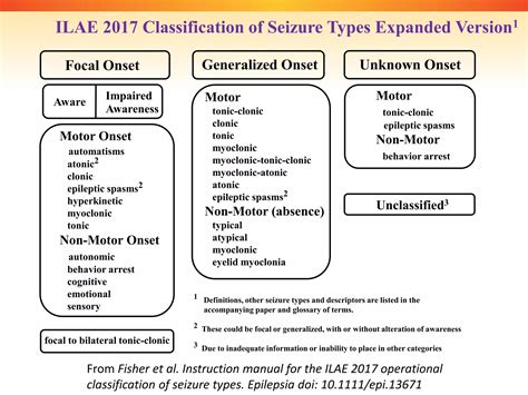 Presentation Illustrating The 2017 Classification Of Seizure Types1