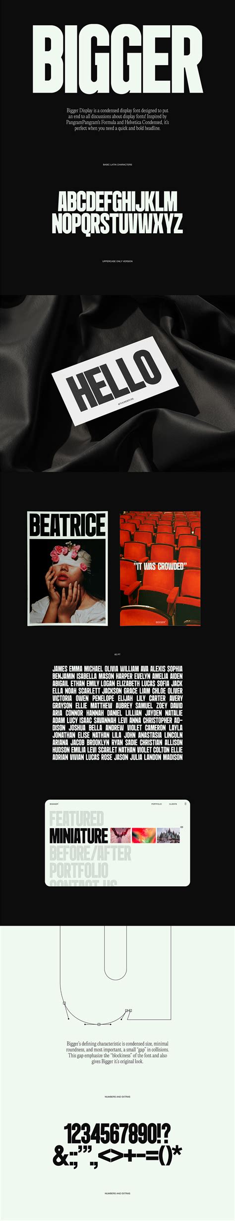 Bigger Display Free Font Theme UI