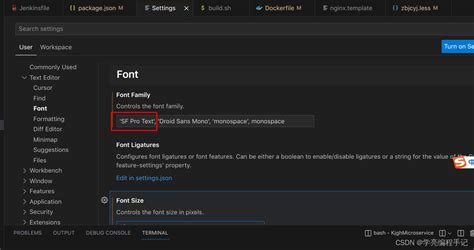 Vscode设置编辑器字体和terminal字体vscode Terminal 字体 Csdn博客