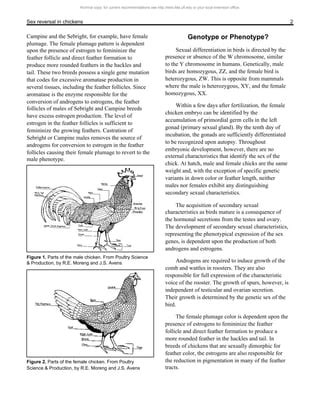 Sex Revershal PDF Reproductive Health Diseases And Conditions