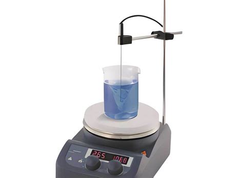 What Do Fibroblasts Look Like Cell Structure Guide Ucallmlabs