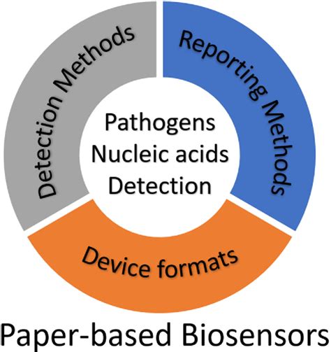 Figure 1 From Paper Based Biosensors For The Detection Of Nucleic Acids