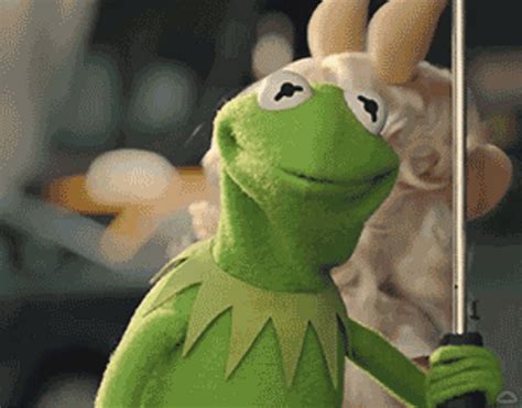 Kermit S
