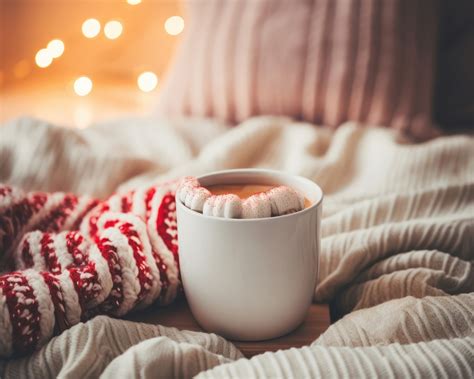 코코아 커피 차 Pixabay의 무료 이미지 Pixabay