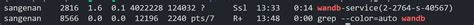 wandb 429 encountered filestream rate limit exceeded retrying in 73