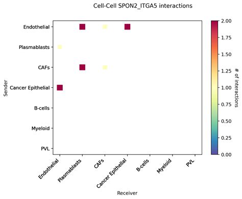 Cell Cell Interaction Analysis Stlearn Documentation
