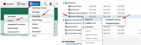 Monitor Oracle Goldengate With Oracle Enterprise Manager Data Engineering