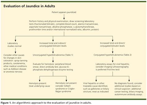 Elevated Bilirubin Levels In Asymptomatic Adults