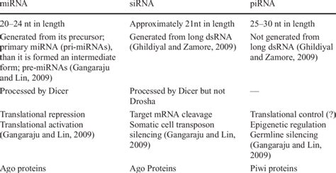 Noncoding RNAs Functions And Locations Download Scientific Diagram