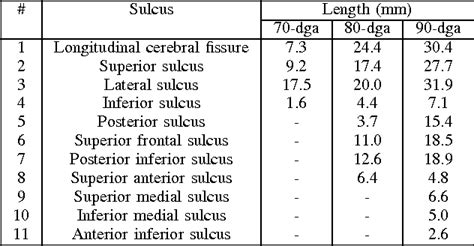 table i from sulcal curve extraction using laplace beltrami