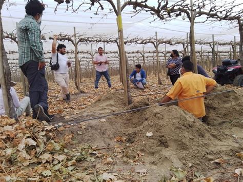 Mis Felicitaciones Fred A Seguir Triunfandomis Felicitaciones Fred A