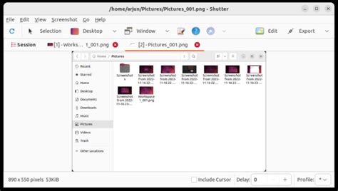 How To Take A Screenshot In Ubuntu 5 Easy Ways Beebom