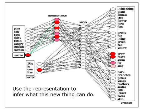 Ppt Integrating New Findings Into The Complementary Learning Systems
