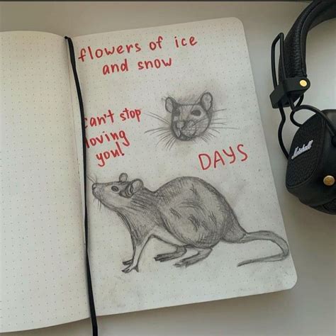 Рисование эстетика идеи для рисования Art Aestetic крыса Рисование Иллюстрации кошек Артбуки